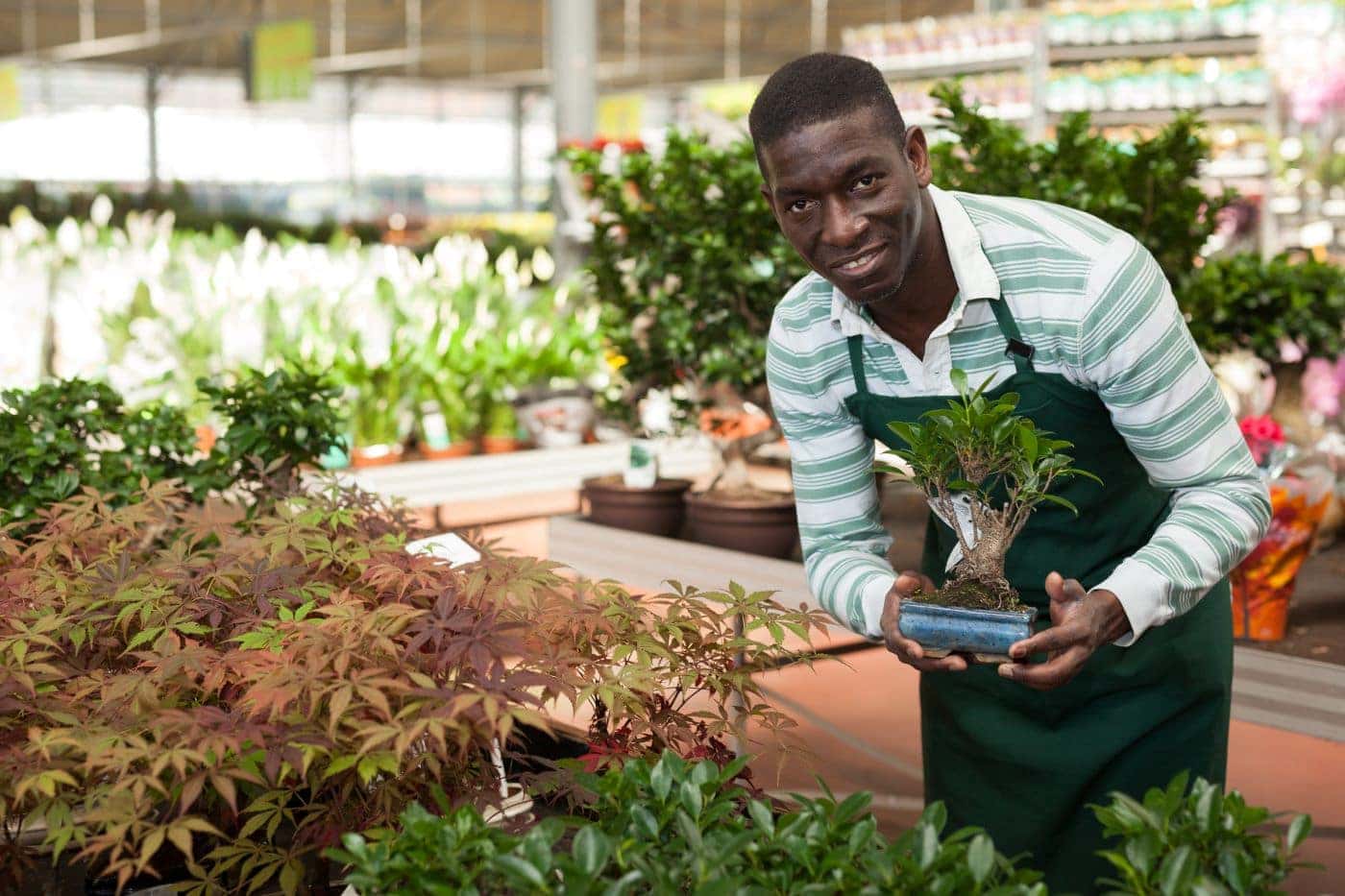 Community Spotlight: Rouvalis Flowers | Ira Toyota of Danvers