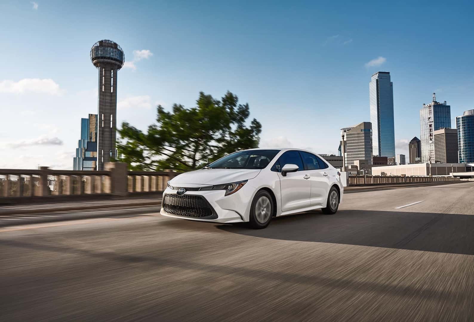 Toyota Corolla vs Honda Accord Danvers MA | Ira Toyota of Danvers