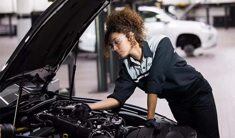 Service Lane Product Guide | Lexus of Pembroke Pines | FL Dealership