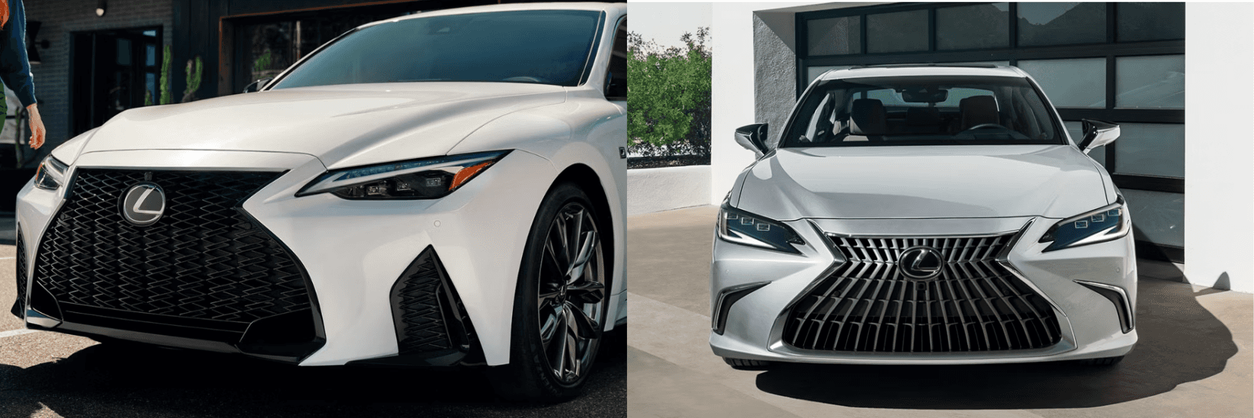 Find the Ultimate Luxury Sedan: Lexus IS vs Lexus ES | Lexus of ...