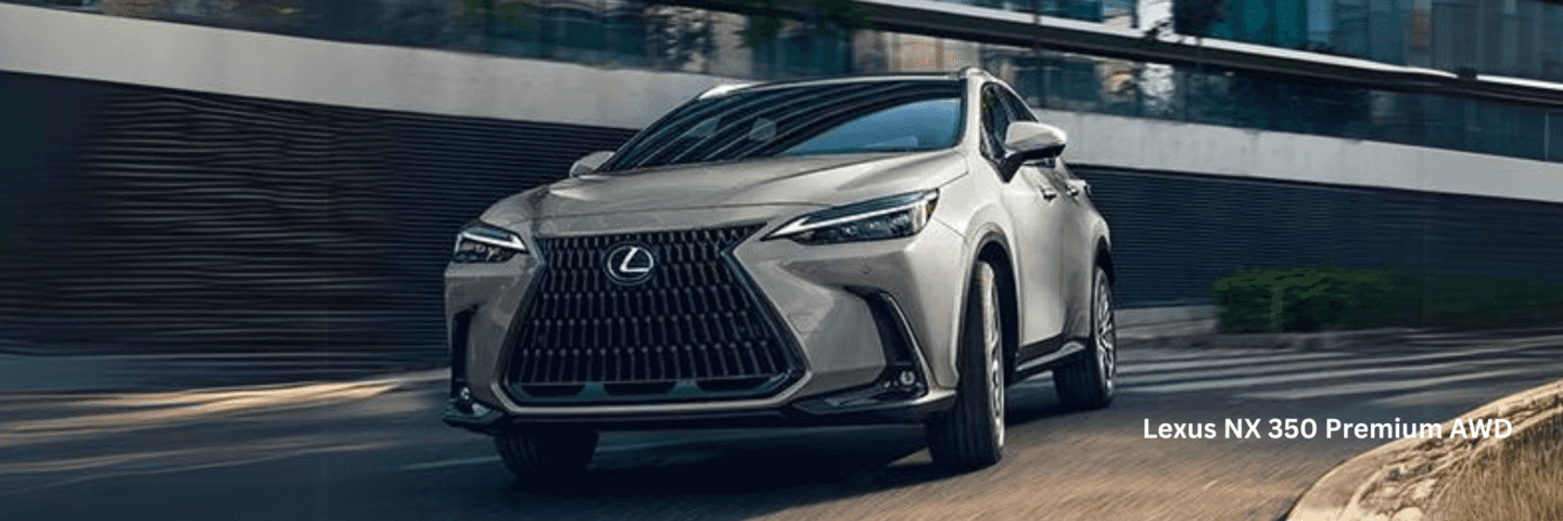 Lexus NX Trim Level Guide for 2025 | Find Your Perfect Fit