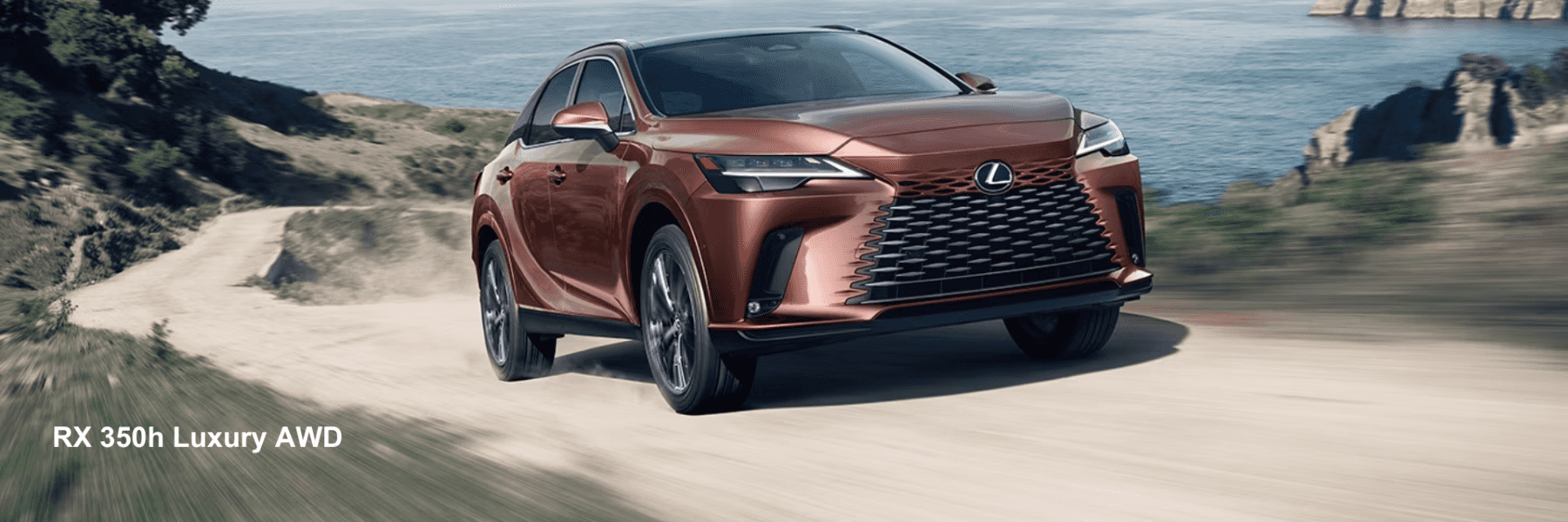 Lexus RX Trim Level Guide | Lexus of Pembroke Pines