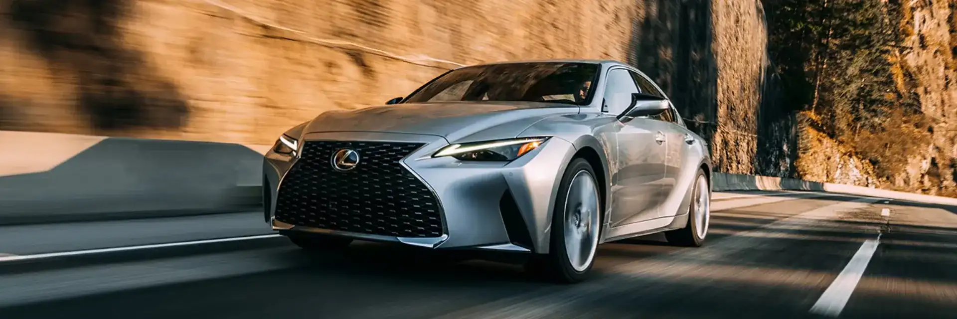 The 2025 Lexus IS Trim Level Breakdown | Lexus of Pembroke Pines
