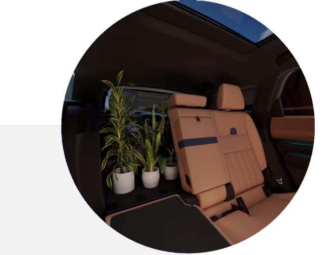 2025 ALL-NEW MINI COUNTRYMAN S ALL4 | Patrick MINI