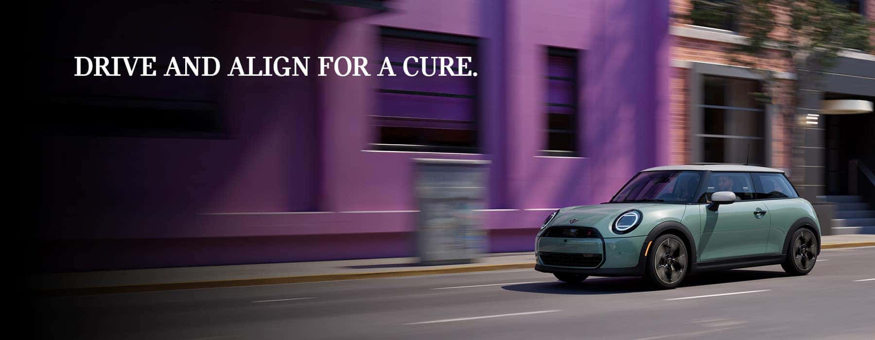 Drive & Align for a Cure | Support Lemons of Love